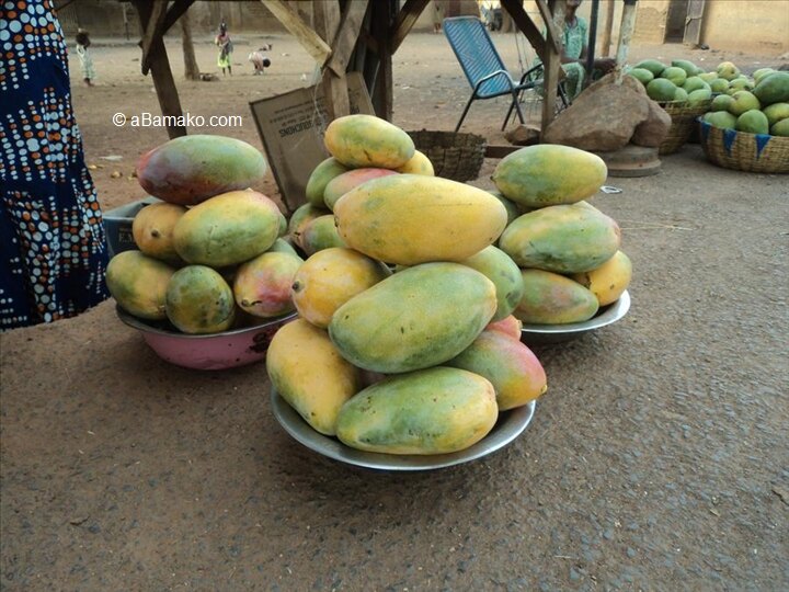 Après des restrictions de l'UE, le Mali export massivement les mangues ...